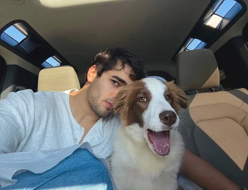 Mert Ramazan Demir ve Afra Saraçoğlu: Görünmezlik Perdesinin Ardında ...